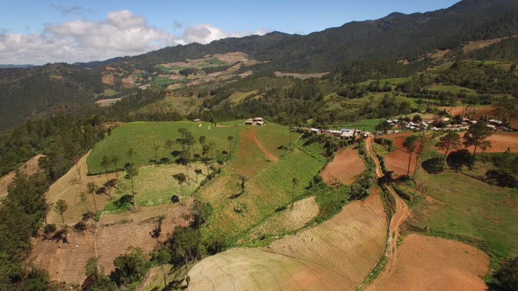 Medio Ambiente asegura recuperación del Parque Nacional Valle Nuevo se ...