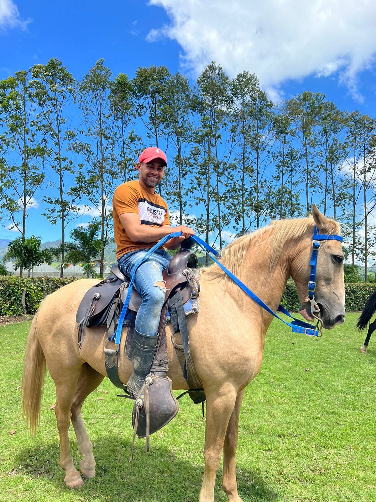 Proyecto Ecuestre, la nueva atracción para montar caballos en Rancho ...