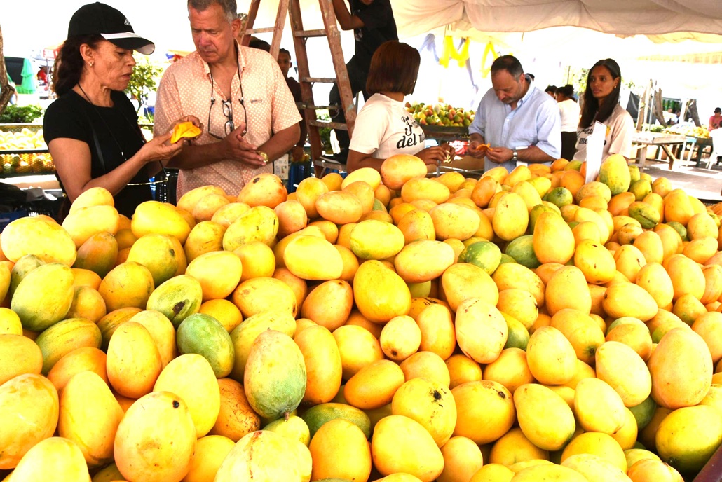 Arranca en Baní Expo Mango 2025: feria muestra variedades del mango ...